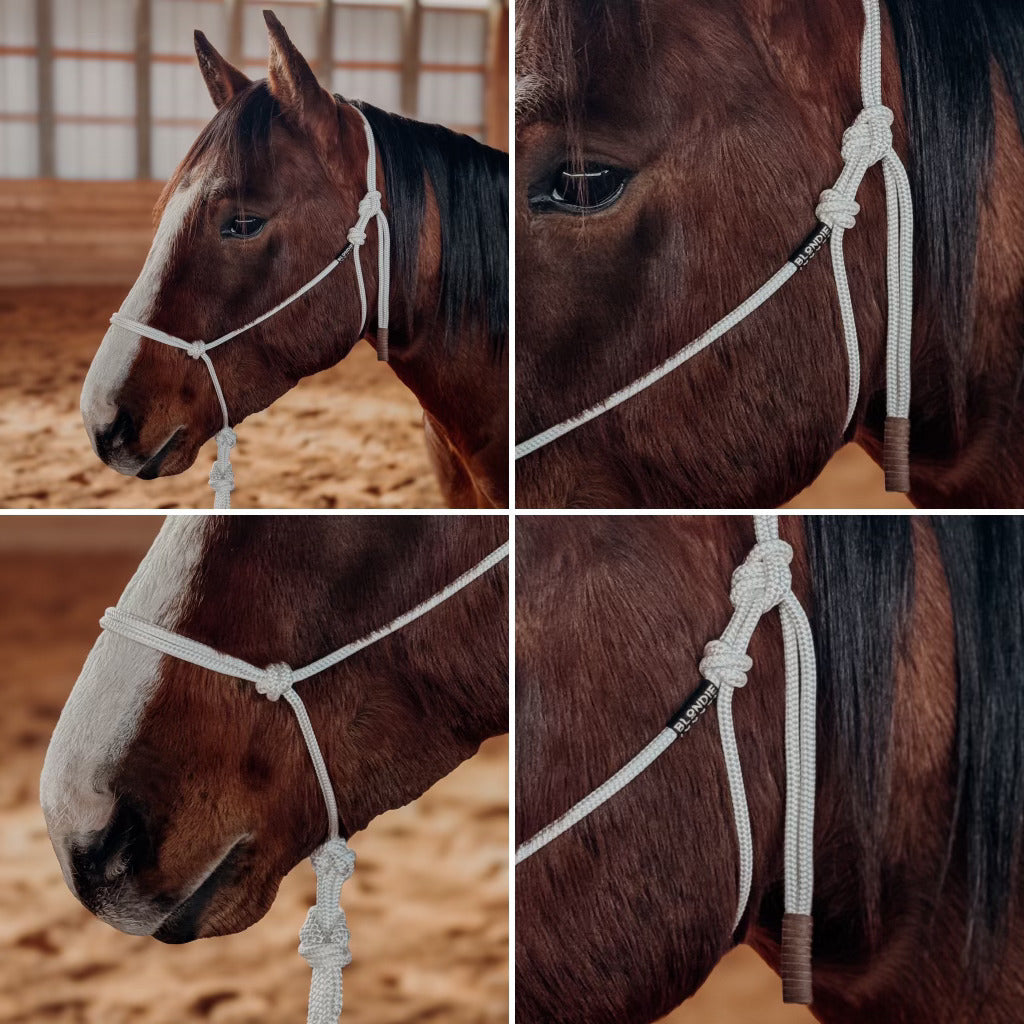 Blondie Cinches and Rope Halters – Blondie Cinches & Rope Halters